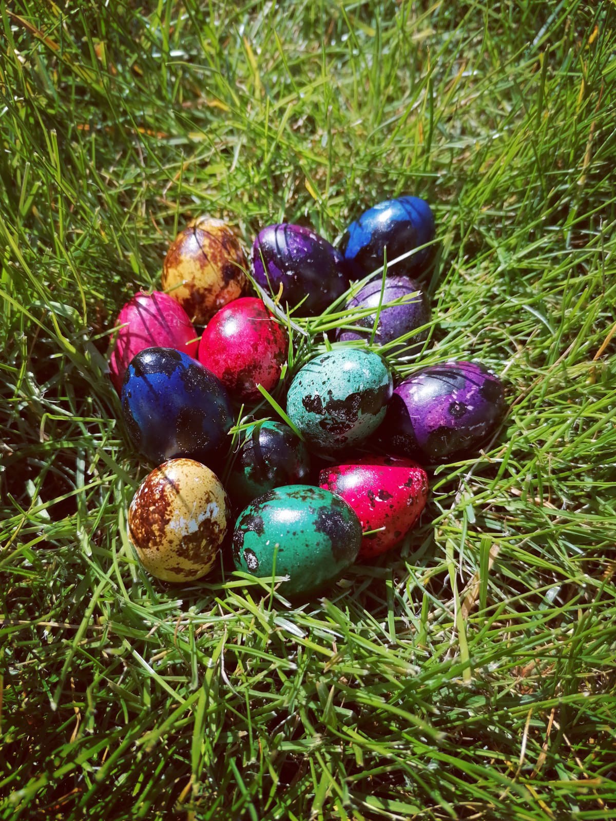 Wachteleier, kleine gesprenkelte Delikatesse - Landfrauen Hohenlohe